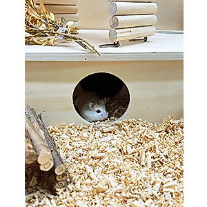 Rubor Multi-Chamber Hamster House Maze, Hamster Hideout Small Pets Woodland House Habitats Decor, Hamster Tunnels Activity Hamster Burrow for Hamster Mice Gerbils Lemming