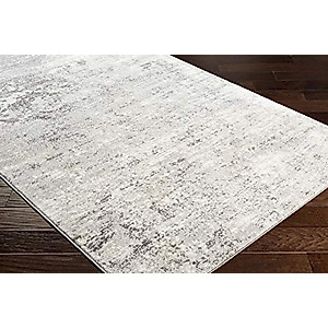 Artistic Weavers Choukri Modern Abstract Area Rug,6'7" x 9',Silver Gray