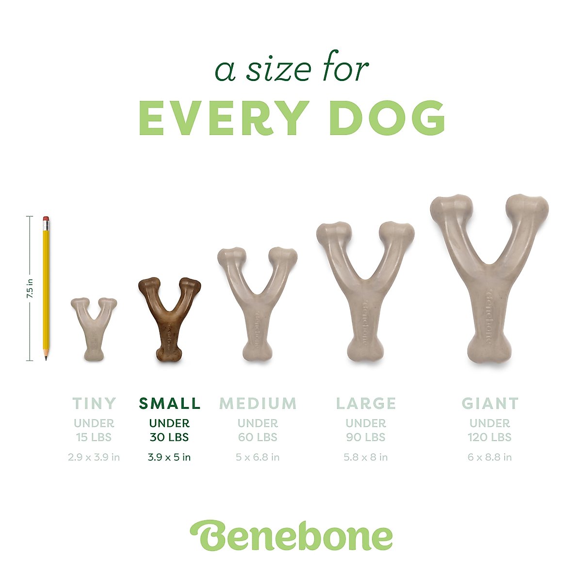 Benebone Wishbone Durable Dog Chew Toy for Aggressive Chewers, Real Peanut, Made in USA, Small, for Any breed