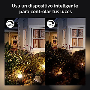 Philips Hue White Outdoor PAR38 13W Smart Bulbs (Philips Hue Hub required), 2 White PAR38 LED Smart Bulbs, Works with Alexa, Apple HomeKit and Google Assistant