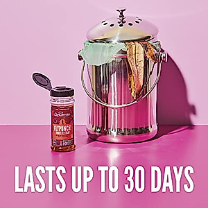 Aunt Fannie’s FlyPunch Fruit Fly Trap (2 Pack): for Indoor and Kitchen Use – Made with Plant Based Ingredients