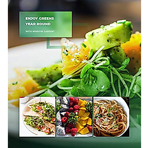 Window Garden Microgreens Grow Kit - Assorted Microgreen Seeds, Indoor Starter Growing Kit -Window Garden 20 Cavity Seed Propagation Kits (2) – Complete with Fiber Soil