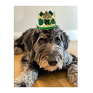 Ullovit First 1st Birthday Crown for Baby Boys Prince, Sparkle Gold Green Wild One Birthday Hat Headband Cake Smash Photo Decoration by Moonlightgo