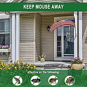 Whemoalus Rodent Repellent Balls SEALUXE, Pack of 4 Mouse Repellent,Rat Repellent,Rats Deterrent Indoor,Mint Mice Repellent, Peppermint Oil to Repel Mice and Rats