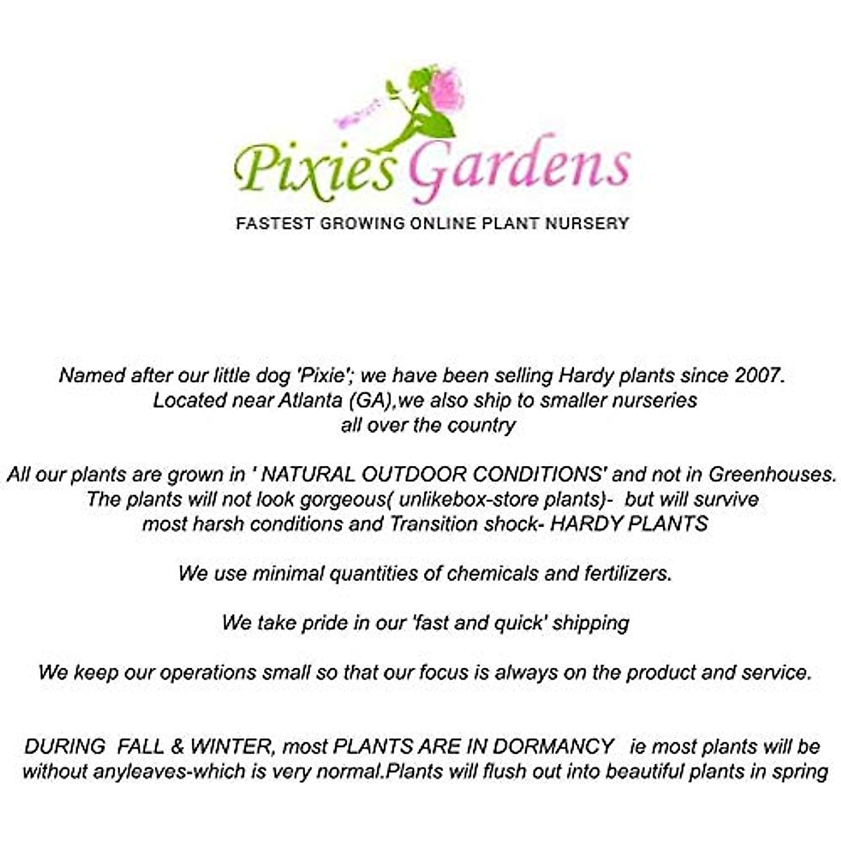 Pixies Gardens (5 Gallon) Red Delicious Apple Tree -America's Favorite and Most Popular Apple for Fresh Eating and Baking.