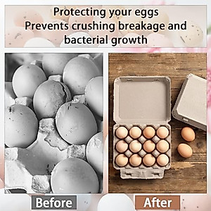 vwpvdeeg 25 Pack Half Dozen Egg Cartons, 3x4 Style Blank Natural Pulp Egg Carton Bulk 12 Count for Chicken Eggs or Duck Eggs, Reusable, Protects, Egg Storage Containers for Home Kitchen and Farmhouse
