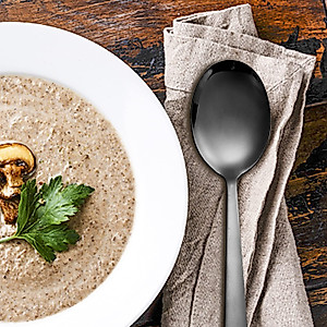 48 Piece Black Silverware Set for 8, RAEEK Stainless Steel Cutlery Flatware Set with Organizer, Mirror Polished Kitchen Utensils Tableware Sets, Include Fork Knife Spoon Set