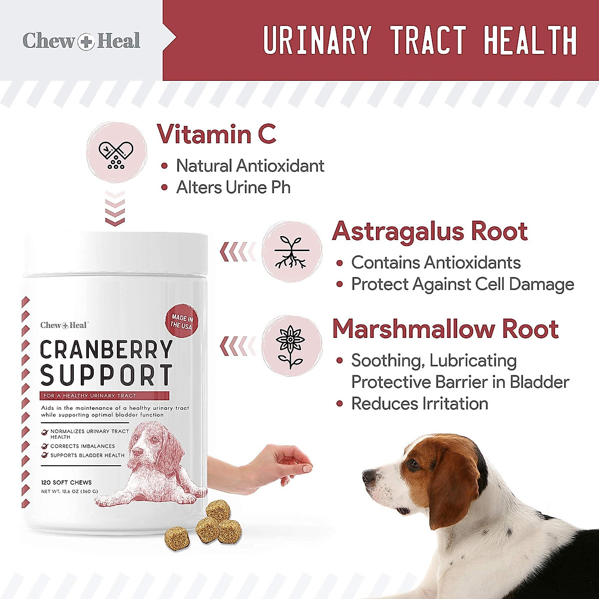 Digestive Enzymes and Probiotics and Cranberry UTI Support for Dogs - Supports Healthy Digestive Tract, Helps Nutrient Absorption - Healthy Urinary Tract and Bladder Function - 120 Soft Chews Each