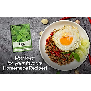 Thai Basil Seeds for Planting Herbs - Heirloom Non-GMO Herb Plant Seeds for Home Herb Garden Indoors, Outdoors, and Hydroponics by Gardeners Basics