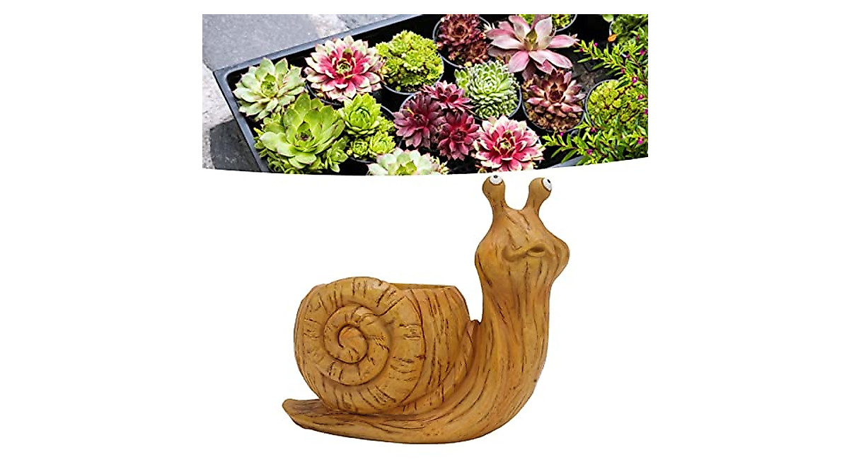 Cute Snail Succulent Flower Pots for Home & Office