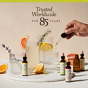 Bach Original Flower Remedies, White Chestnut for Calming Repetitive Thoughts (Non-Alcohol Formula), Natural Homeopathic Flower Essence, Holistic Wellness, Vegan, 10mL Dropper