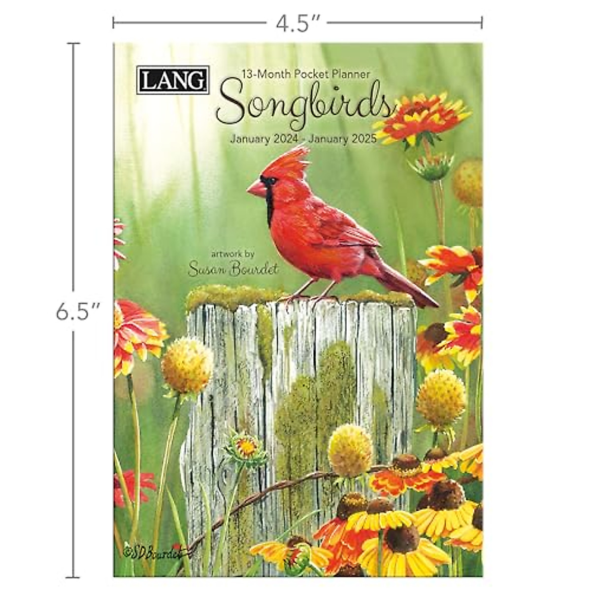 LANG Songbirds™ 2024 Monthly Pocket Planner (24991003167)