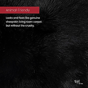 Silky Soft Faux Fur Rug, 2 ft. x 3 ft. Black Fluffy Rug, Sheepskin Area Rug, Shaggy Rug for Living Room, Bedroom, Kid's Room, or Nursery, Home Décor Accent, Machine Washable with Non-Slip Backing