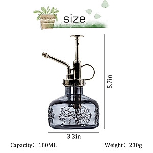 XXXFLOWER Glass Plant Mister Spray Bottle for Indoor Plant Spritzer Succulent Watering Bottle with Bronze Plastic Pump Watering Can Vintage Small Pot (grey)