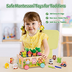 KMTJT Montessori Wooden Toddler Toys for 1 2 3 Years Old Boys Girls, Shape Sorting Toys First Birthday Gifts for 1-2 Years, Wood Animal Farm Car Preschool Educational Fine Motor Skills Toy