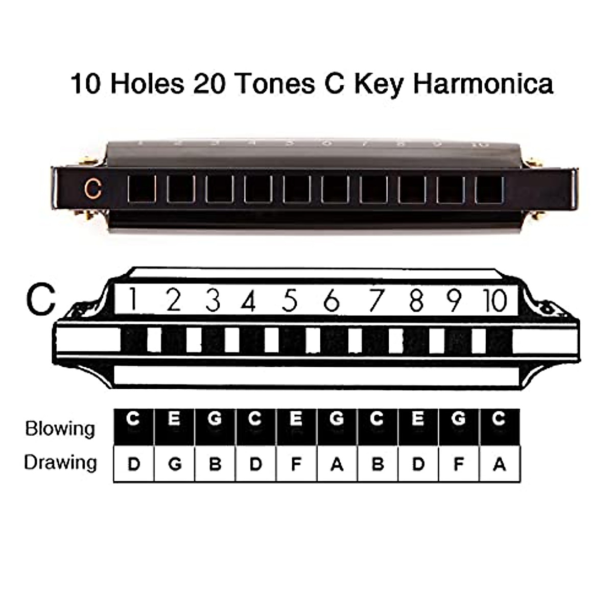 EastRock Blues Harmonica Mouth Organ 10 Hole C Key with Case, Diatonic Harmonica for Professional Player, Beginner, Students gifts, Adult, Friends, Gift Black