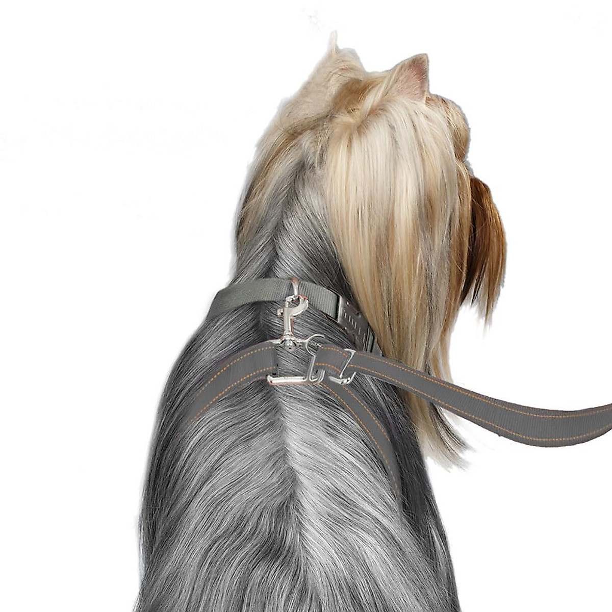 ThunderLeash No-Pull Dog Leash (Large (Over 25 lbs), Grey)