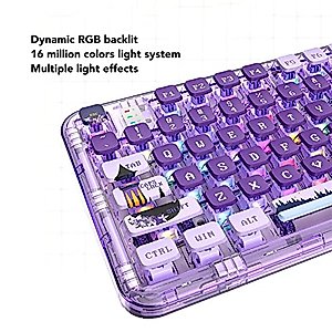 Mechanical Keyboard, 80 Keys Triple Modes Gasket Structure Transparent Case Hot Swapable Mechanical Gaming Keyboard,for Gaming Studying