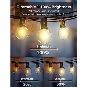 XMCOSY+ Outdoor String Lights 100Ft Dimmable Patio Lights, 50+3 G40 Globe Shatterproof Bulbs, Hanging Waterproof LED String Lights for Outside, Porch, Patio, Yard, Bistro, Café