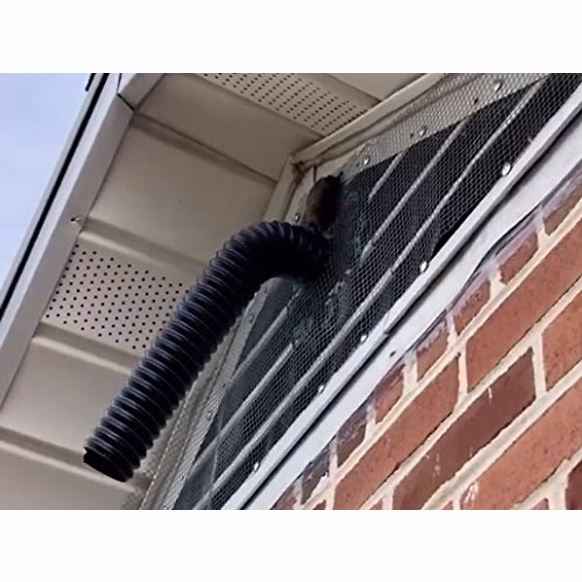 The Bat Valve Device | Get Rid of Bats in the House and Attic | TBV-Flex2