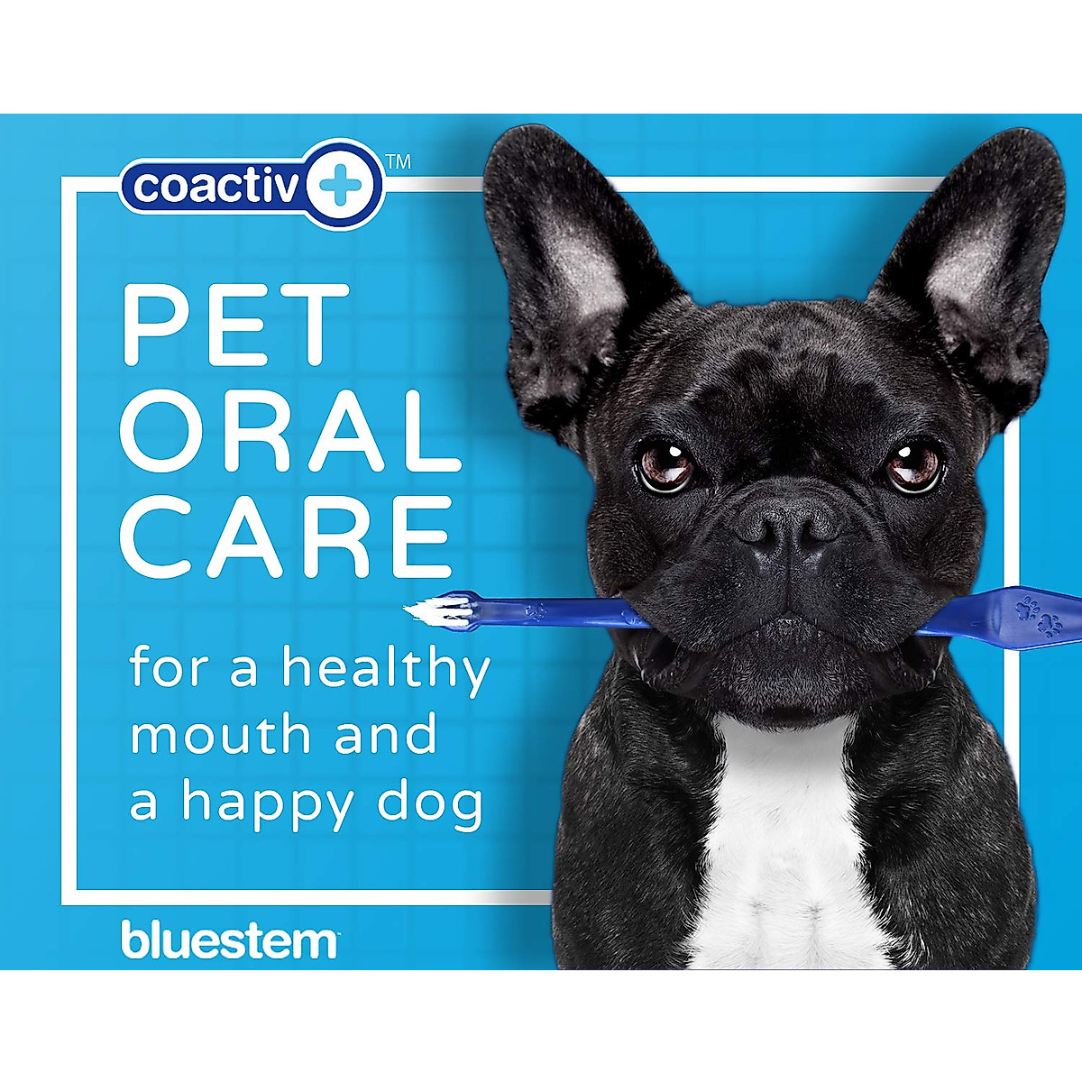Dog Toothpaste : Chicken Flavor Tooth Paste for Dogs & Cats. Teeth Brushing Cleaner Pet Breath Freshener Oral Care Dental Cleaning Kit. Tartar & Plaque Remover Brushes