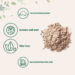 Pure Pine Pollen Powder, 6 Ounce, Wild Harvest an Broken Cell Wall, Supports Immune System Health, Boosts Energy, Antioxidant & Androgenic, No GMOs, Vegan Friendly