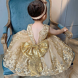 Christening Embroidery Lace Birthday Christmas Easter Flower Baby Girl Dress Princess Formal Prom Tutu Ball Gown 3M Gold B 60