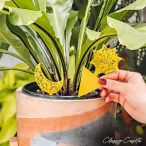 Classy Casita Yellow Sticky Traps - Fungus Gnat Trap, Houseplant Fly Control, Indoor and Outdoor Plant Insect Stakes, Potted Plants Mosquito Pest Bugs Catcher, Gifts for Plant Lovers - 24-Pack