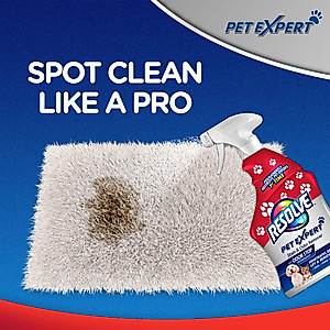 Resolve Pet Expert Carpet Spot & Stain Remover Spray, Pet Stain and Odor Remover, Carpet Cleaner, 22oz (Pack of 2)