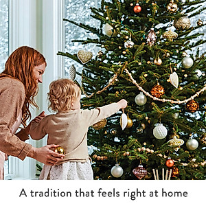 Thymes Frasier Fir All-Purpose Cleaner - Biodegradable Cleaner with Natural Essential Oils - Household Spray for Cleaning Bathrooms, Kitchens, Counters, and Other Surfaces (16 fl oz)