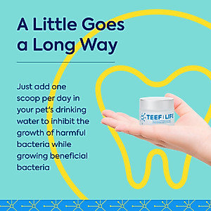 TEEF! for Life Protektin42 Plant-Derived Dental Water Additive for Dogs, Daily Dental Care, Clinically-Proven Formula Naturally Fights Plaque and Tartar, Refill Packet with 30 Servings