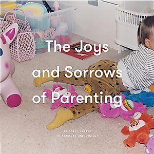 The Joys and Sorrows of Parenting: 26 Essays to Reassure and Console