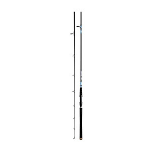 Daiwa BEEFSTICK Salmon Steelhead Striper Sections 2