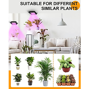 Dommia Plant Lights for Indoor Plants 350W Advanced Spectrum Wall-Attached Hanging Refugium Light for Aquarium Hydroponics Succulents Bonsai Blooming Veg Grow Lights for Seed Starting