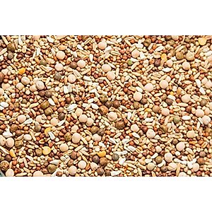 Purgrain Sparkling Clean Pigeon Feed Breeder/Conditioner 16% No Corn 50 Pounds