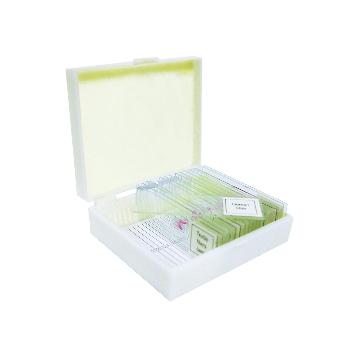 Vision Scientific VSH130 Prepared Slide Set – Meiosis & Mitosis (Set of 9) Package | Slides are Clearly Labeled | Specimens are Cover Slip Sealed | Ideal Set for High School Observation