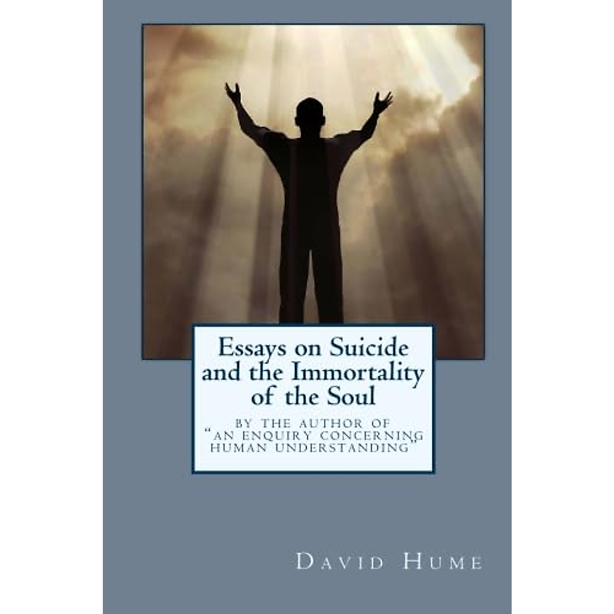 Essays on Suicide and the Immortality of the Soul
