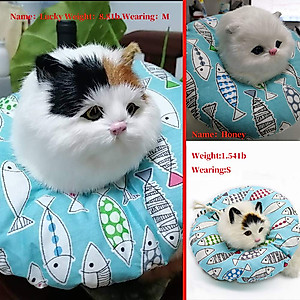 Andyrex Cat Recovery Collar Soft Adjustable - Cute Neck Cone After Surgery for Head Wound Healing Protective Cone After Surgery Elizabethan Collars for Cat and Puppy (Medium)