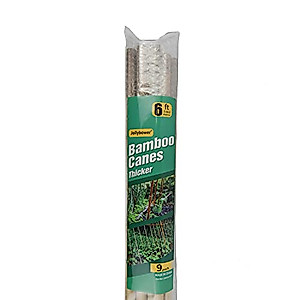 Jollybower 3/4" D Thicker Heavy Duty Bamboo Stakes,6FT Plant Stakes,Natural Garden Stakes for Tomato,Bean,Flowers,Trees Potted and Climbing Plant Support-Pack of 9 Bamboo Stick