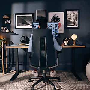 Haworth Fern Ergonomic Office Chair – Stylish and Innovative Desk Chair with Digital Knit Finish - with Lumbar Support (Charcoal Black)