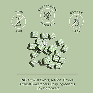 Chewsy Peaceful Sleep Chews, Sleep Support, 3 mg Melatonin, 200 MGS L-Theanine, Chamomile, Lemon Balm, Magnolia, Nighttime Sleep Aid, Naturally Minty Chews, Promotes restful Sleep, 30-Day Supply (1)