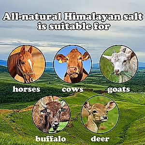 MUYG Himalayan Salt Lick Natural Minerals Block on Rope for Horses,Cattles,Deer,Goat and Other Livestock Long Lasting Original Pink Salt Lick (2.4-3.3 lbs)