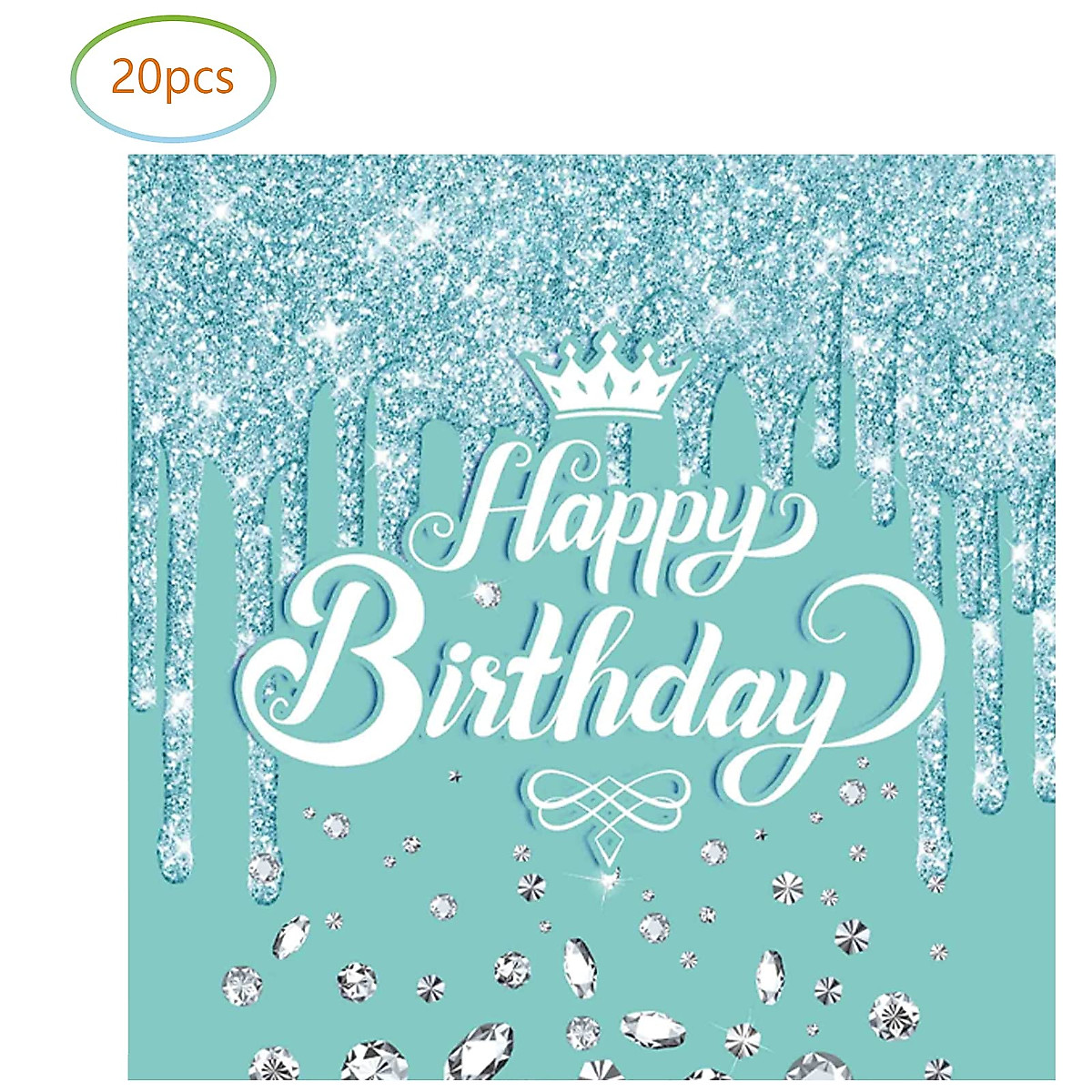 Teal and Silver Birthday Party Supplies, 20 Plates and 20 Napkins, Teal and Silver Theme Birthday Party Decorations for Kid Girls Women Silver Glitter Party Supplies