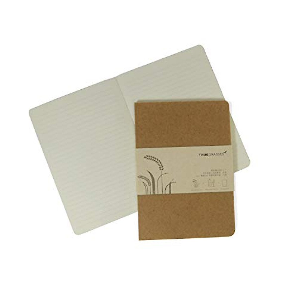 TRUEGRASSES Hardcover Notebook (5x7), Flat Open, Straw + PP, Recycled Paper, Cream (off-white), 70gsm, 160 Sheets, Grid