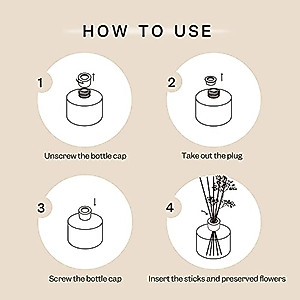 Cocorrína Premium Reed Diffuser Set with Preserved Baby's Breath & Cotton Stick Sandalwood Rose | 6.7oz Scent Fragrance Oil Diffuser for Bedroom Bathroom Living Room Home Décor