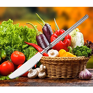 TSTQH 63 cm long stainless steel telescopic knife telescopic dinner fruit dessert knife dinner knife 9 inches ~ 25 inches