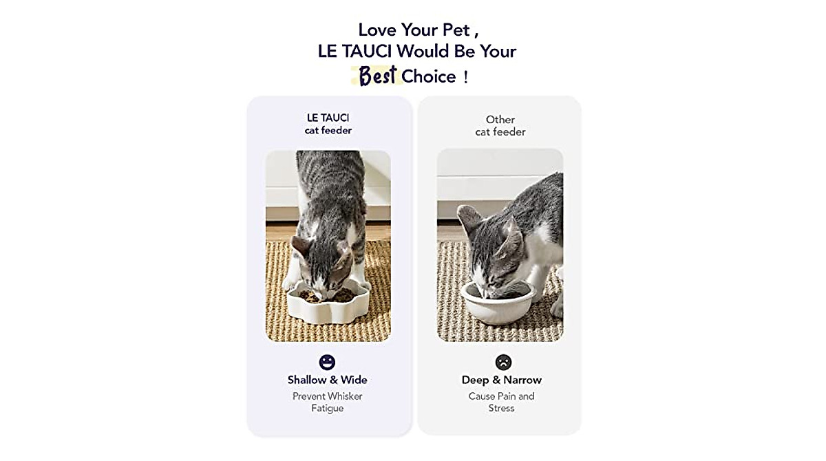 LE TAUCI Ceramic Cat Bowls - 8 oz Whisker-Friendly Small Pet Dishes