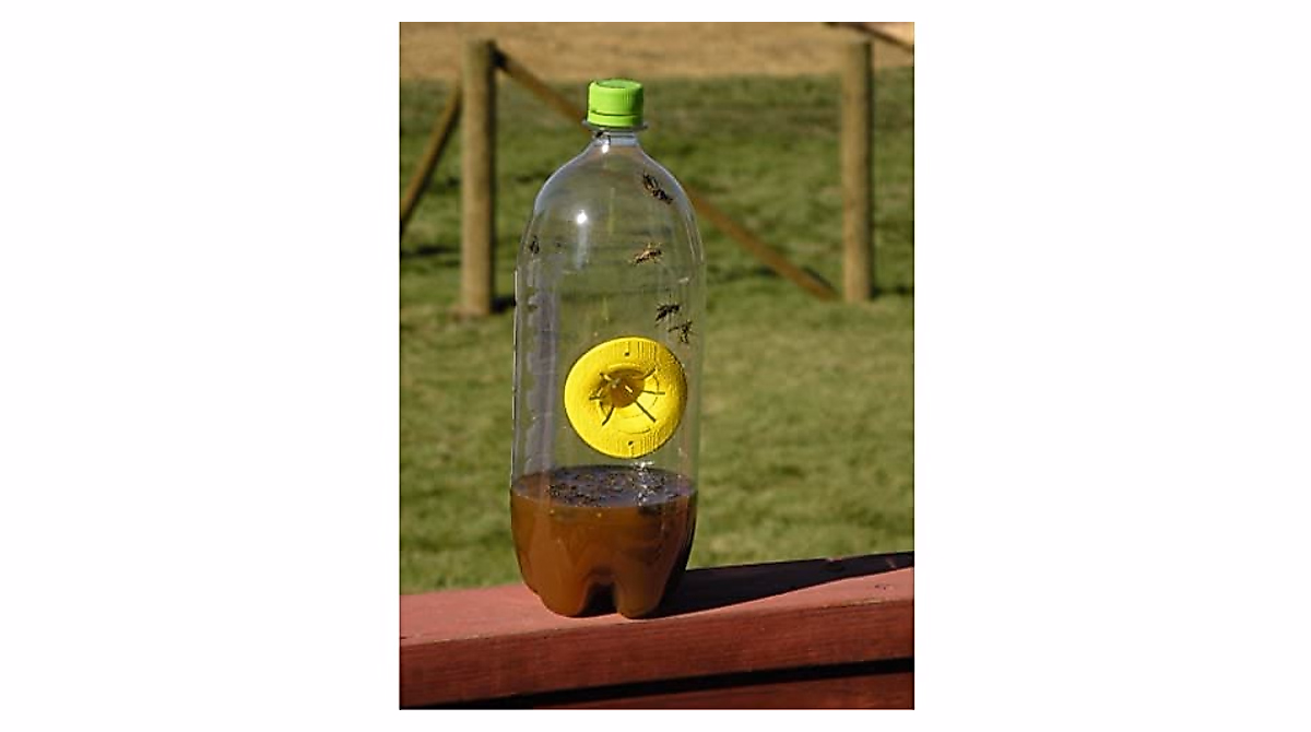 Fatal Funnel FFW-6P Wasp and Hornet Traps, 6-Pack — 🛍️ The Retail Market