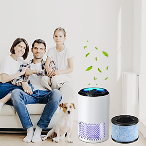 Katerelis 4 Pack MK01 MK06 TZ-K1 Replacement Filter Compatible with AROEVE MK01 MK06 MG01JH, ToLife TZ-K1 and Kloudi DH-JH01, POMORON MJ001H, Elechomes EPI081/EP1081, and Intelabe EPI080/EP1080