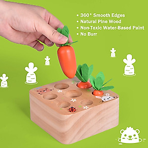 FUN LITTLE TOYS Educational Wooden Toys for Toddlers, Carrots Harvest Shape Size Sorting Game, Developmental Toys for 1 2 3 Year Old Boys and Girls Preschool Learning Gifts